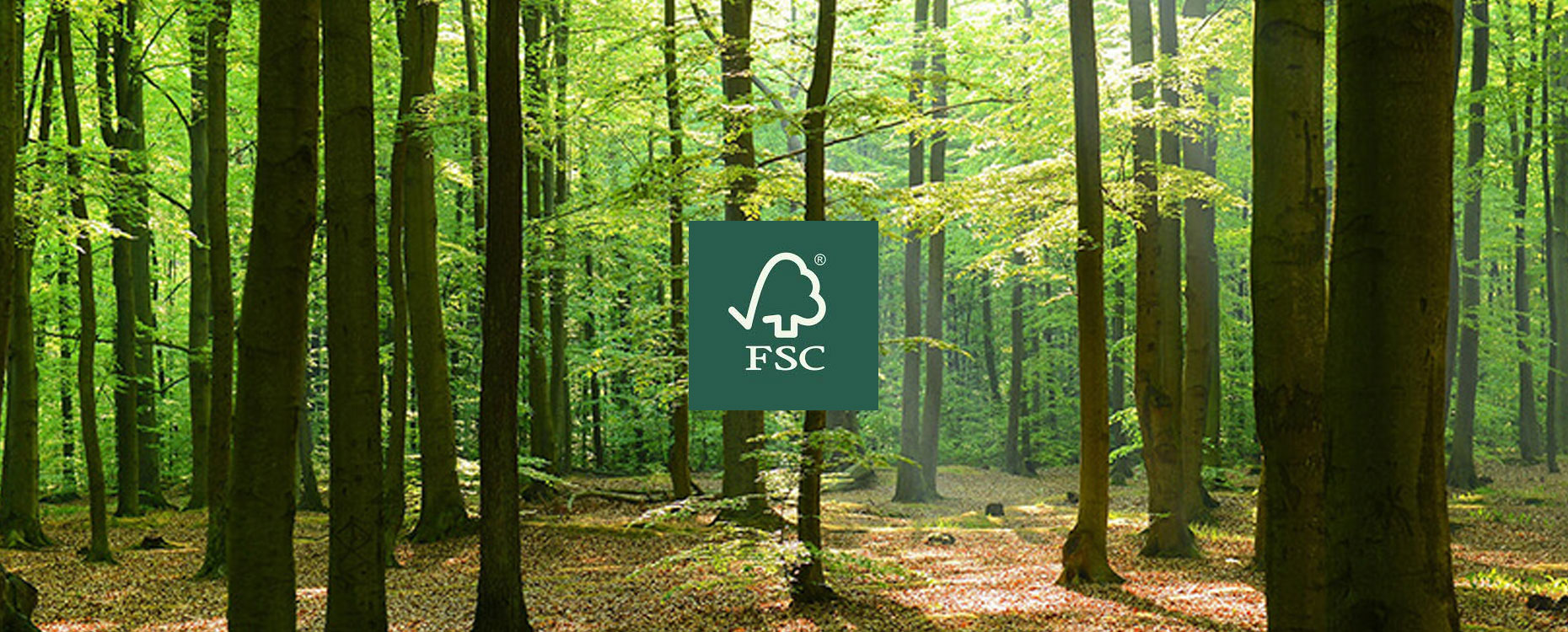 FSC - Eco Friendly Choices