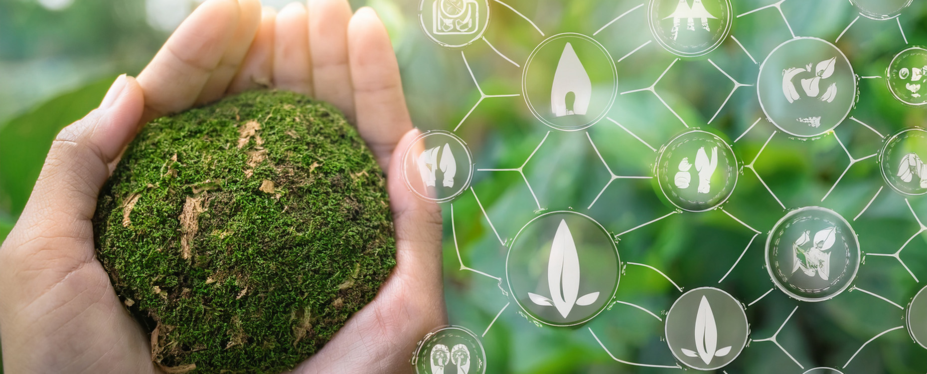 Bio Material - Eco Friendly Choices