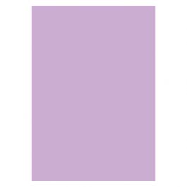 Carton A4 170 Gram 10 Sheets Purple